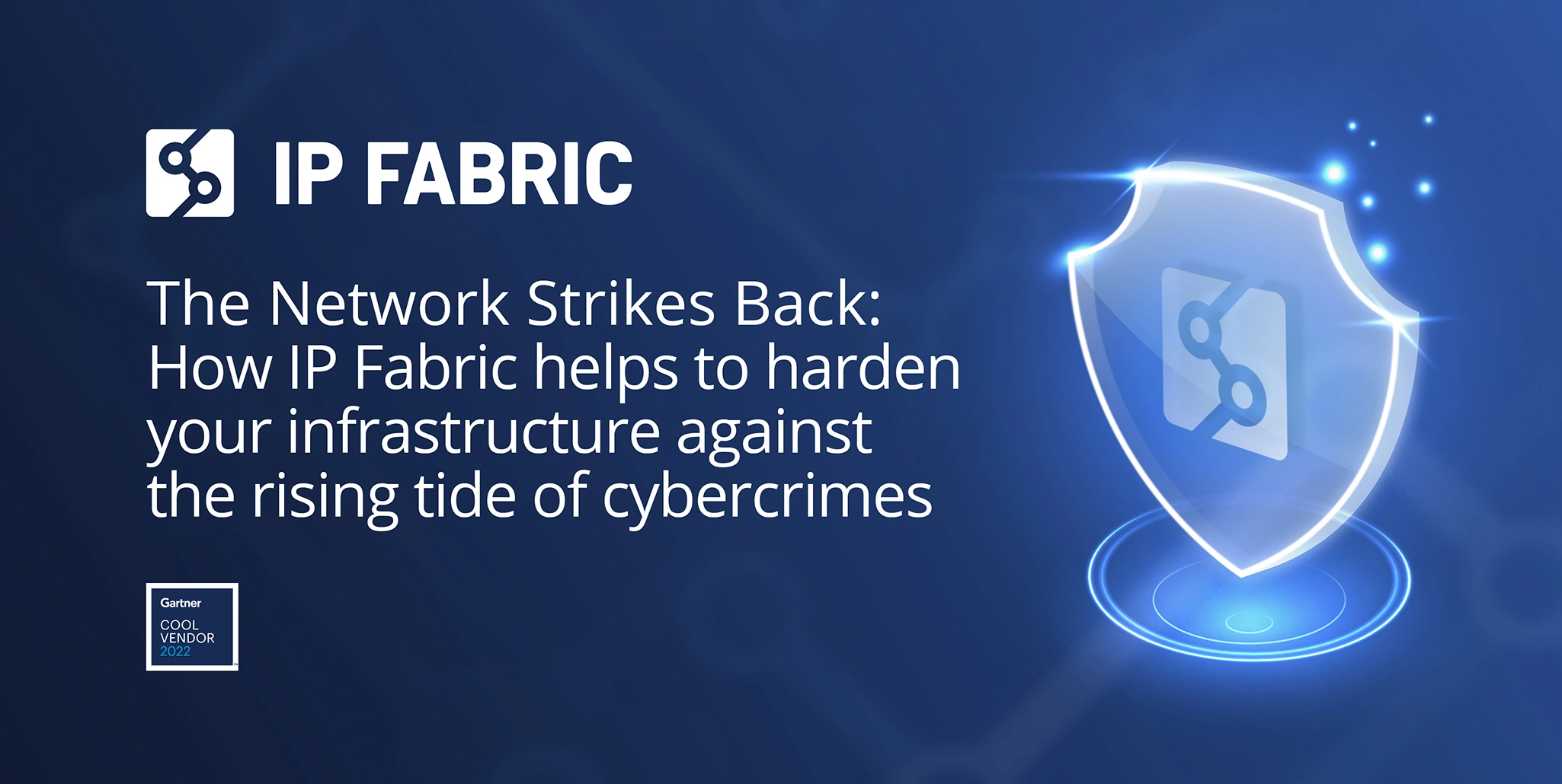 How IP Fabric can help protect against cybercrimes - IP Fabric
