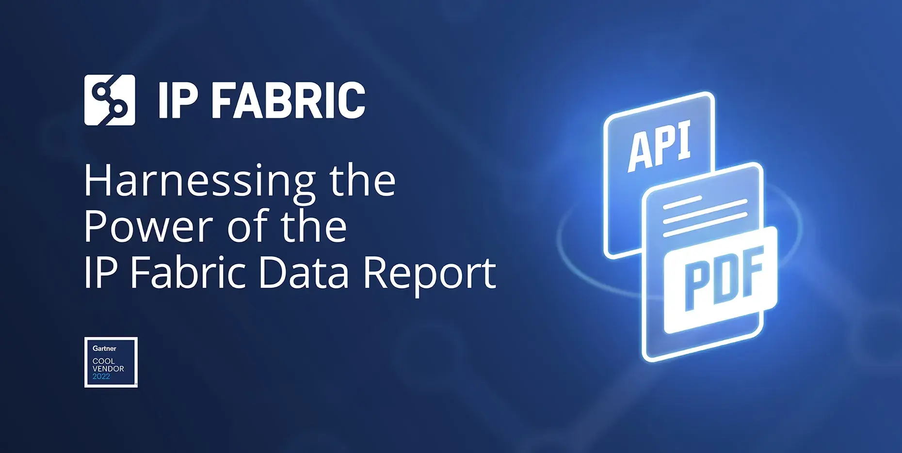 Harnessing the Power of the IP Fabric Data Report - IP Fabric