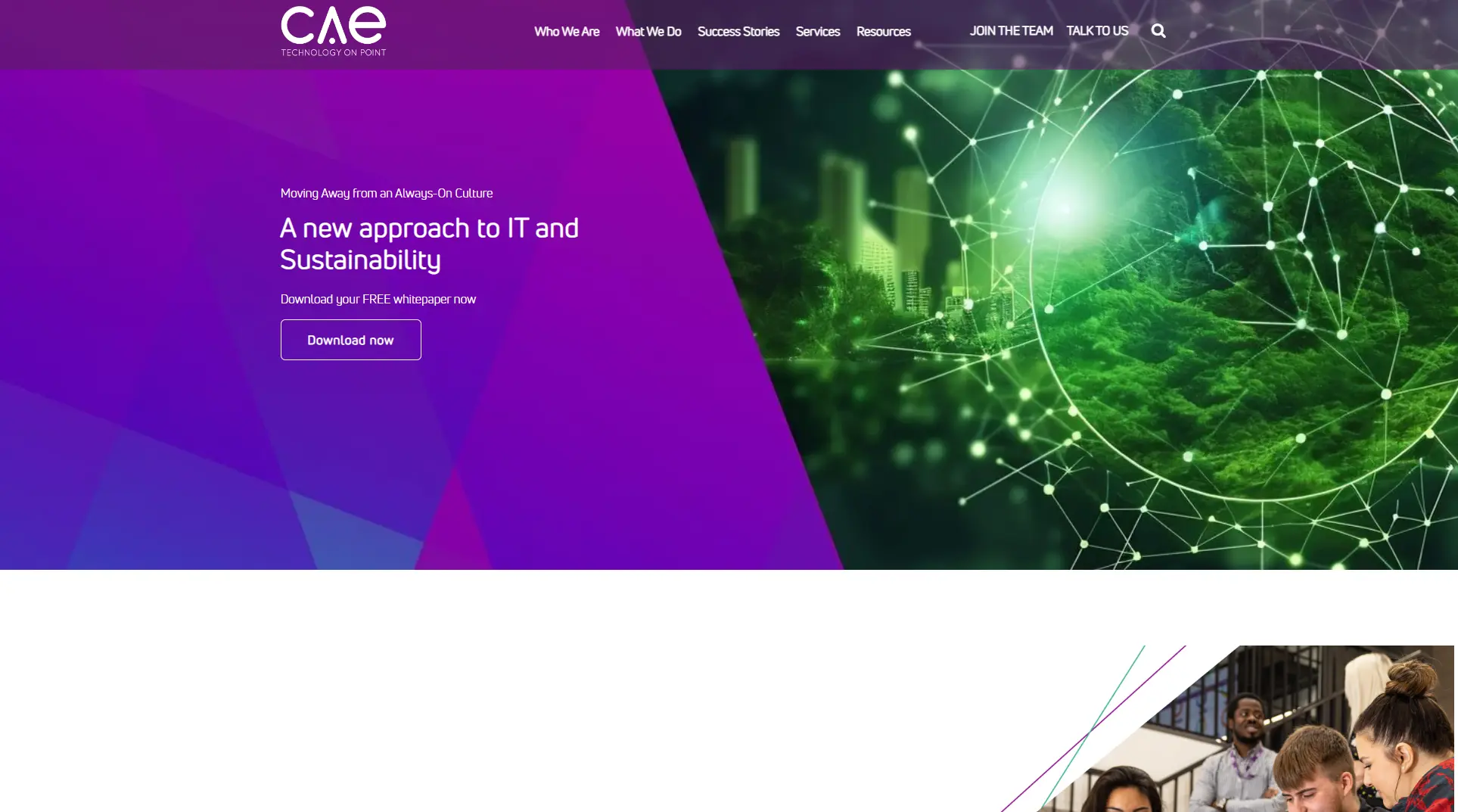 CAE Technology Services - IP Fabric